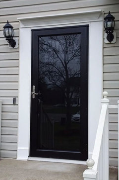 Storm door color