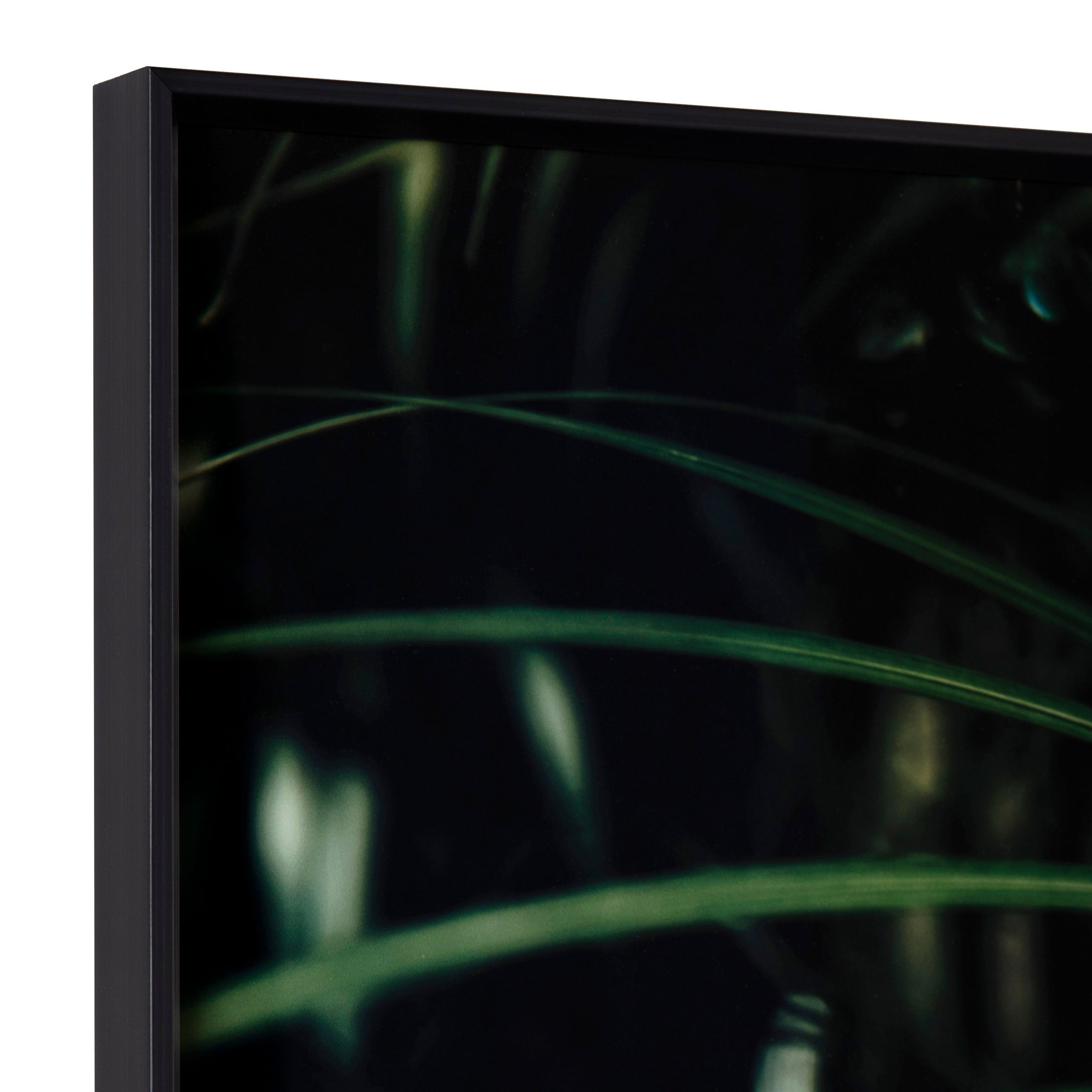 Safari Leaves Glass Wall Art With Black Frame - Tropical - Prints And ...