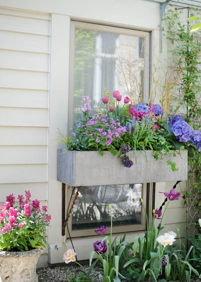 9 Beautiful Early Spring Container Gardens