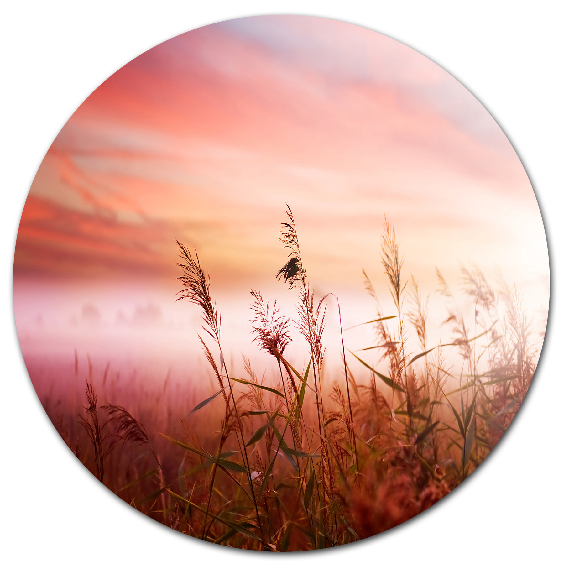 Foggy Land With Early Morning Mist, Landscape Disc Metal Wall Art, Disc ...