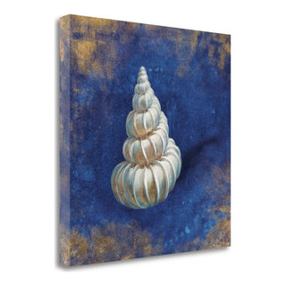 25" Rustic Deep Blue and Gold Shell Giclee Wrap Canvas Wall Art - Beach ...