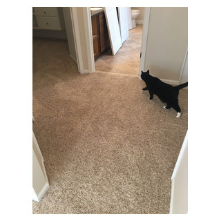 Stainmaster Carpet - Traditional - Detroit - by Ann Arbor Carpets ...
