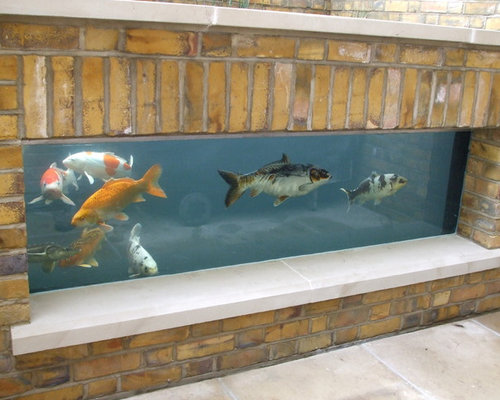 Best Outdoor Aquarium Design Ideas & Remodel Pictures | Houzz