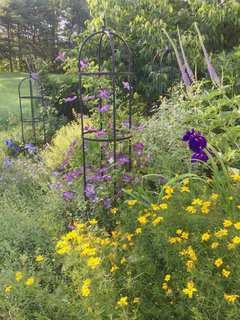 Examples of bad garden design--I need them!