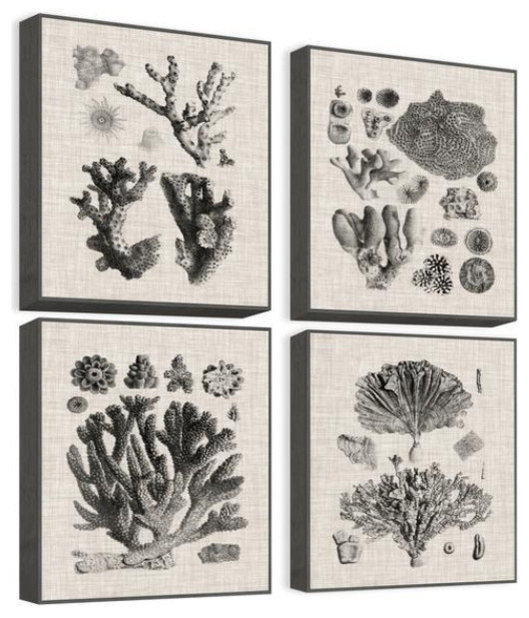 4-Piece "Coral Specimen" Quadriptych, 80"x80" - Beach Style - Prints ...