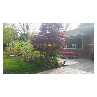 sycamore mulch-less conversion - Modern - Garden - Chicago - by Teach ...