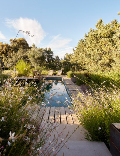 Yard of the Week: Low-Water Landscape With a Natural Pool