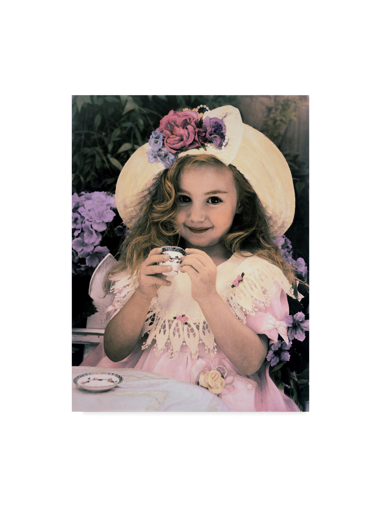 Sharon Forbes 'Pinky' Canvas Art, 47"x35" - Contemporary - Prints And ...