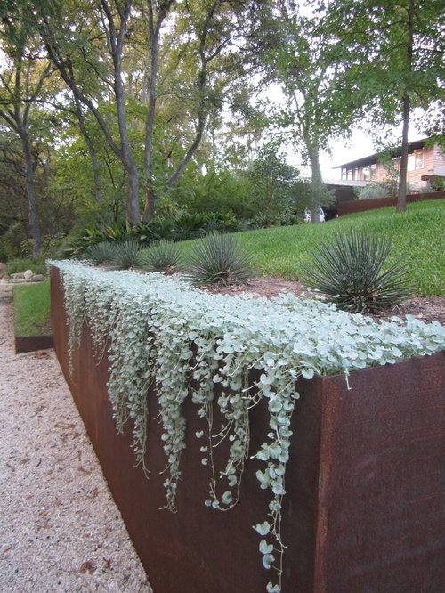 Silver Pony Foot Ideas, Pictures, Remodel and Decor