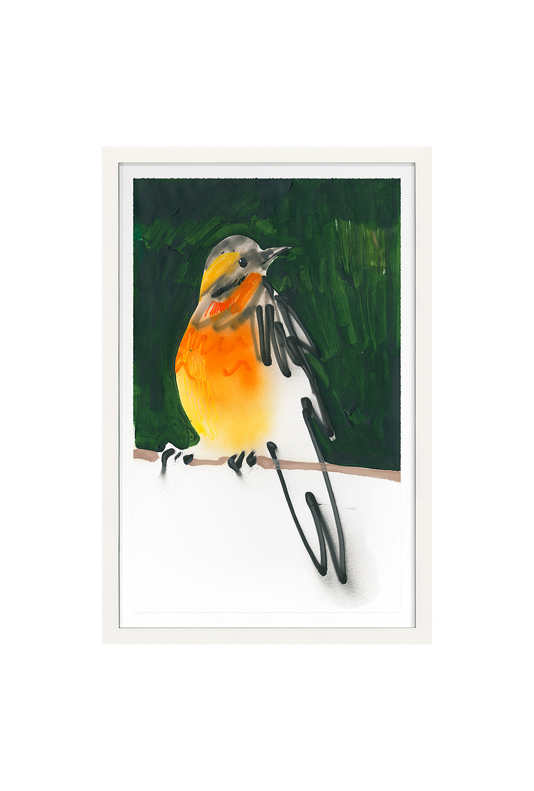 American Robin Fine Art Print, 45"x30" - Contemporary - Fine Art Prints ...
