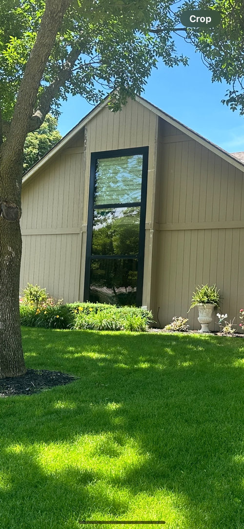 24 hours to make a paint decision!