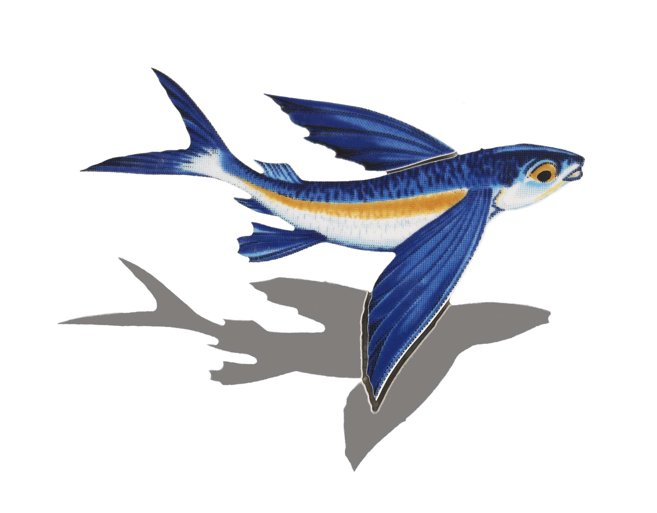 Flying Fish B Porcelain Swimming Pool Mosaic, 8"x6" with shadow - Beach ...