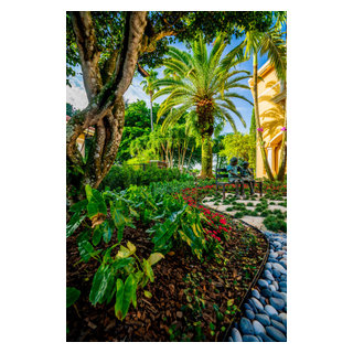 INVERNESS RD - Tropical - Garden - Miami - by LunnScape | Houzz AU