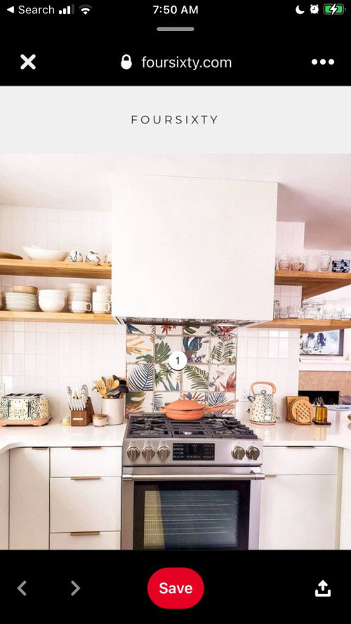 Botanical Tile Backsplash Help