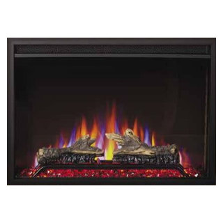 Napoleon NEFB30H Cineview 30"W 10000 BTU Electric Built in ...