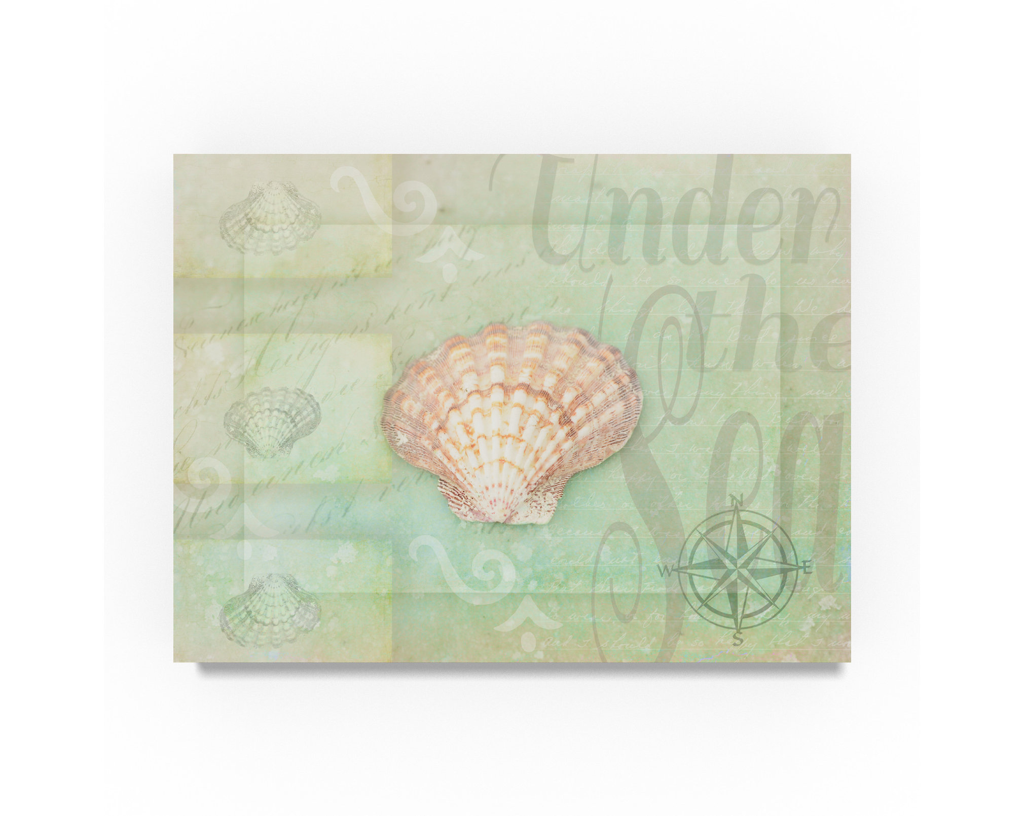 "Gypsy Sea Green Shell" by Lightboxjournal, Canvas Art, 47"x35" - Beach ...