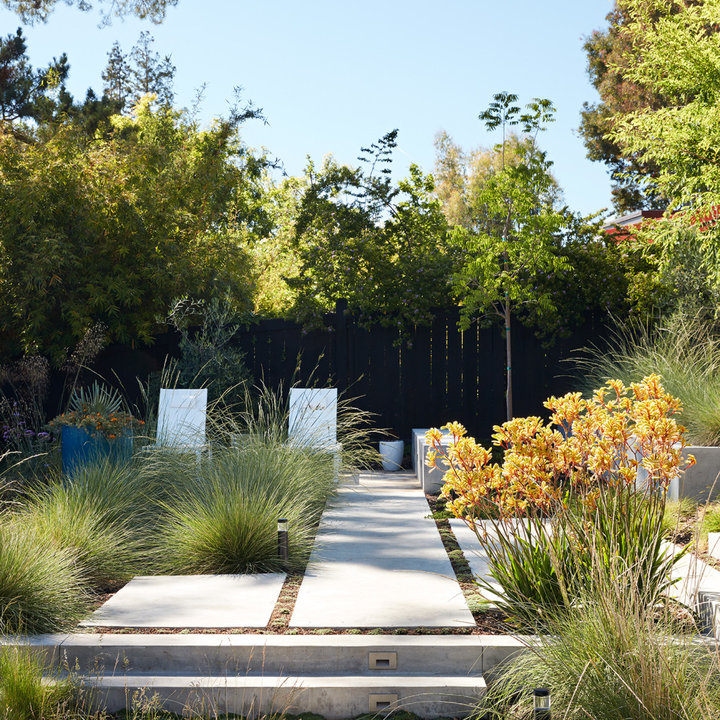 75 Beautiful Midcentury Garden Ideas & Designs - July 2024 | Houzz AU