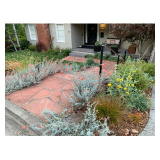 Cheerful low-water plants flank entry steps. - Mediterranean ...