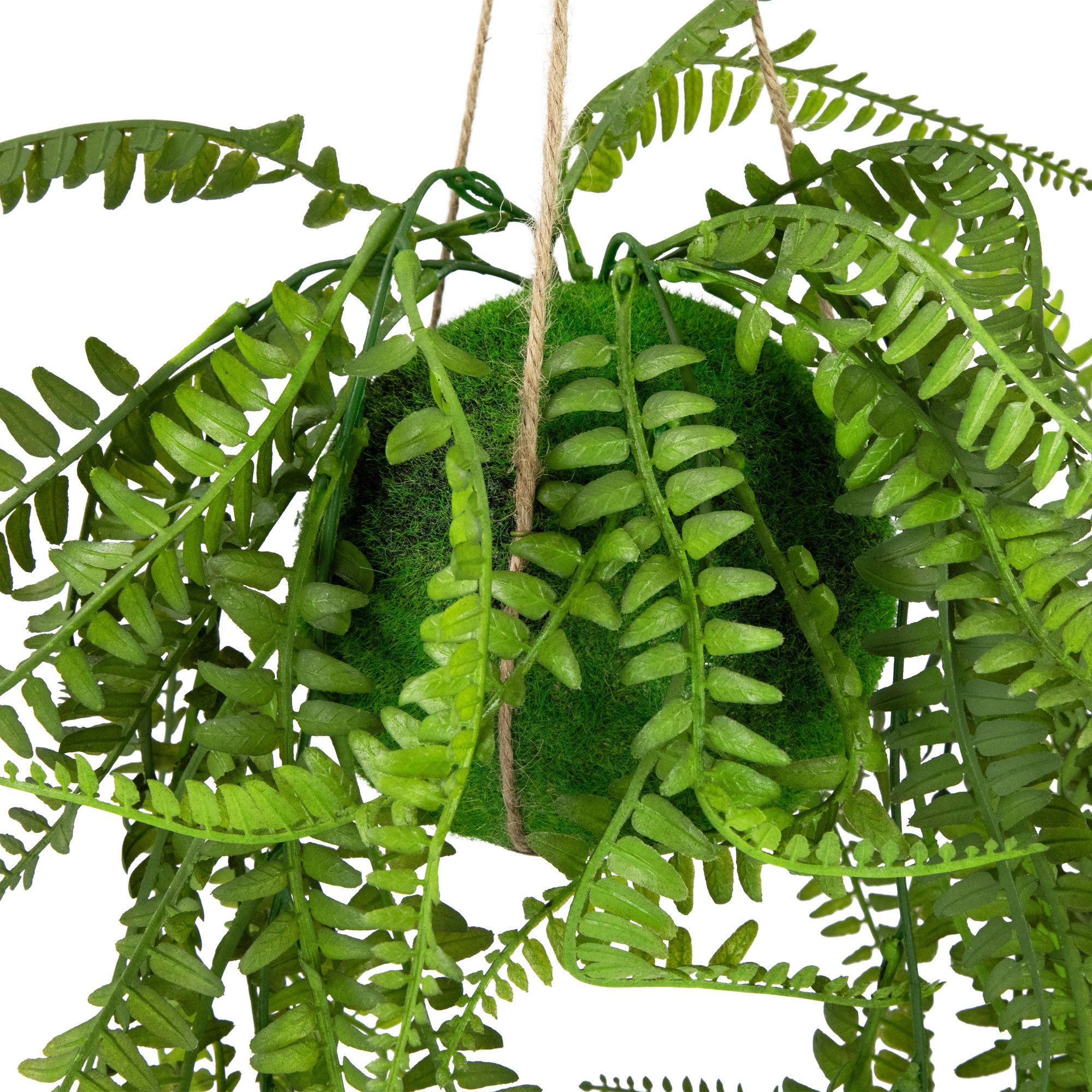 18" Artificial Fern Plant With Moss Ball and Hanging Jute Cord - Modern ...