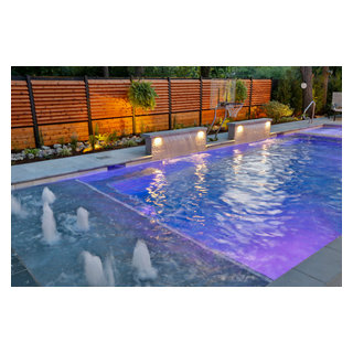 Lemont, IL Rectilinear Pool with Interior Hot Tub - Traditional - Pool ...