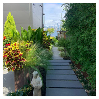 side garden view to seattle skyline - Contemporary - Landscape ...