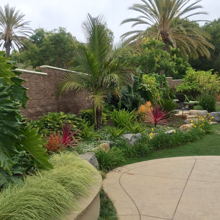 75 Beautiful Tropical Full Sun Garden Ideas & Designs - June 2025 ...