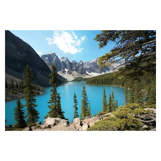 Northern Exposure Mural 8060 - Contemporary - Wall Decals - by The Home ...