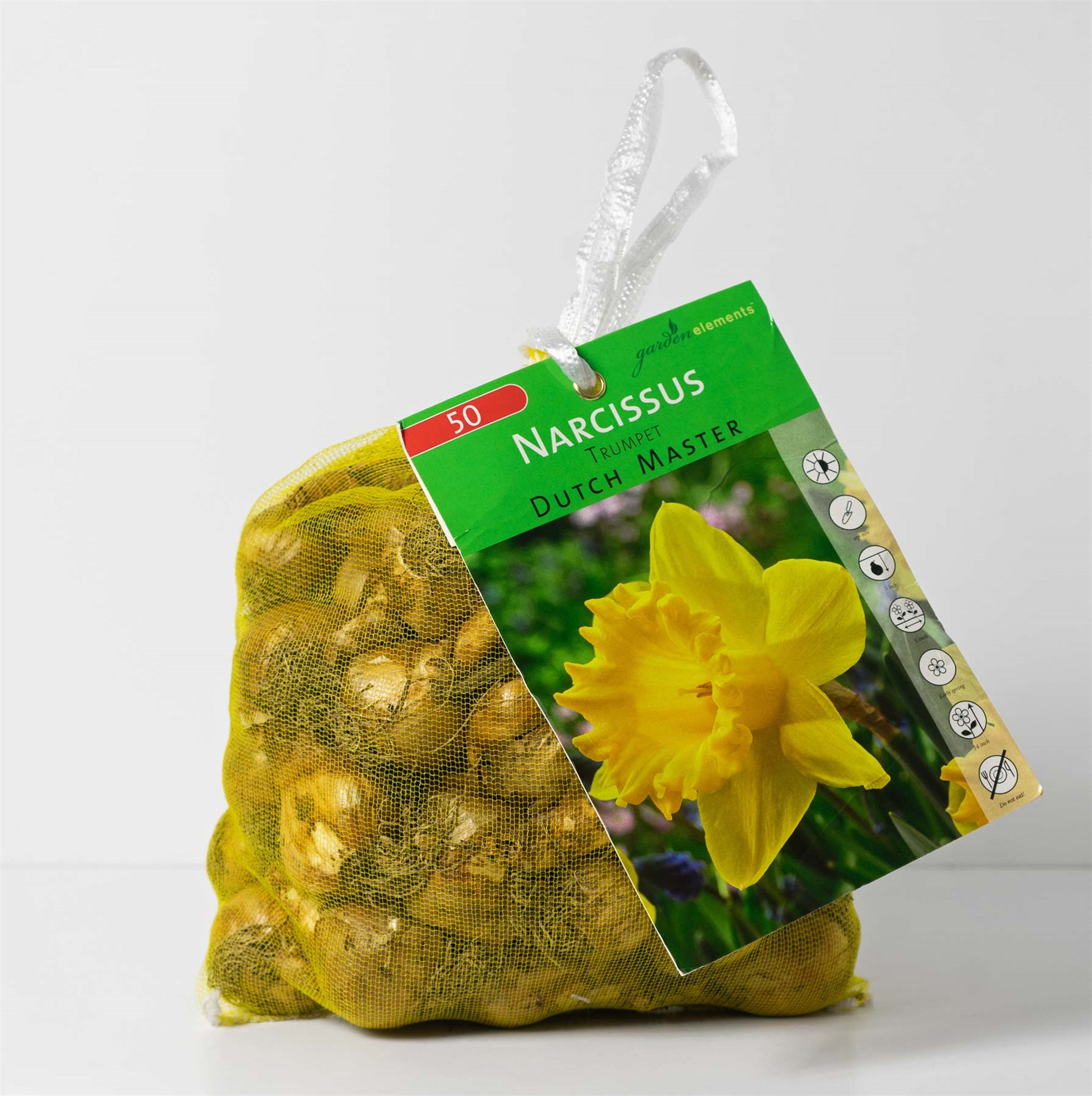 Garden Elements Dutch Master Daffodil Live Flower Bulbs, Yellow (Pack ...