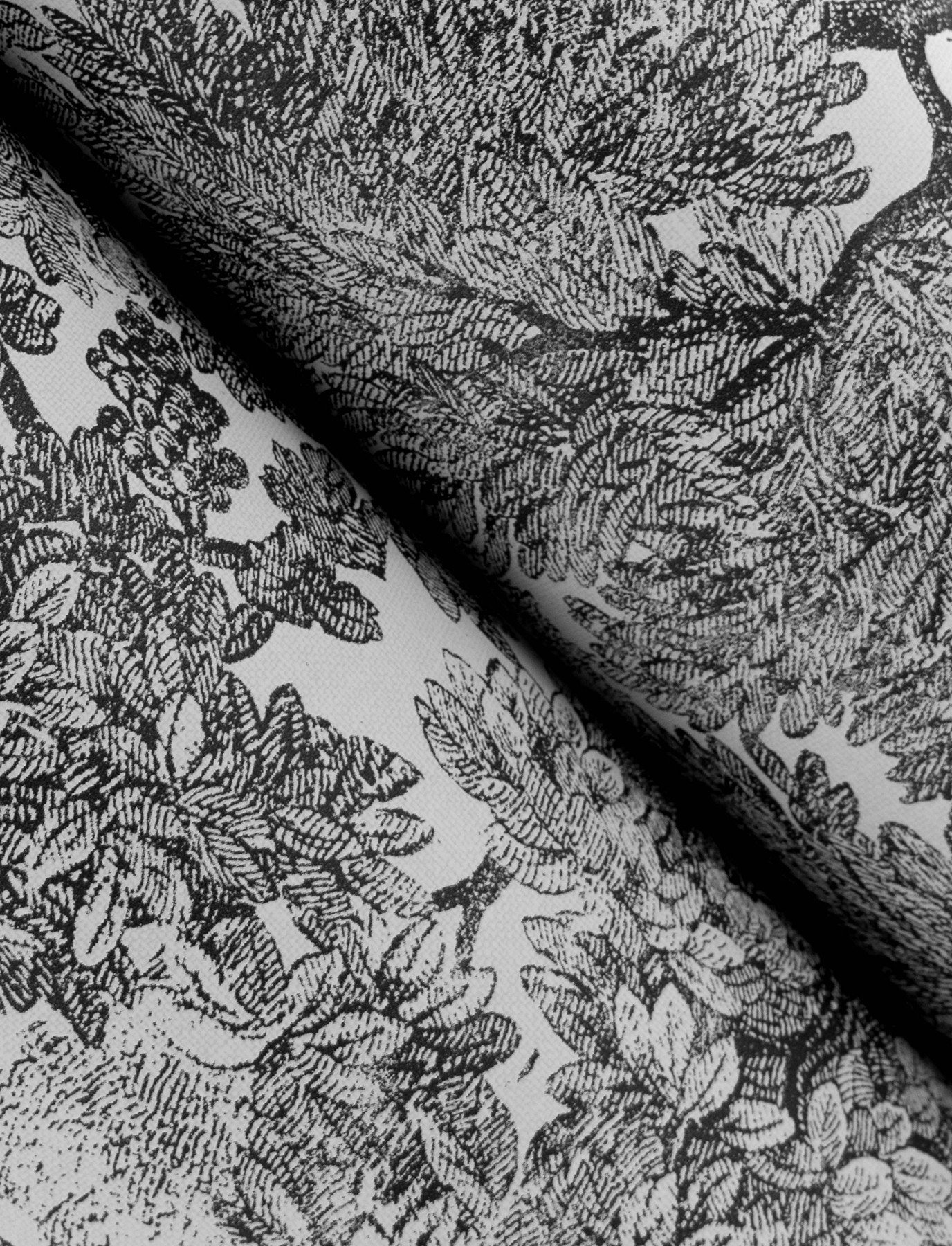 Spinney Black Toile Wallpaper, Bolt - Contemporary - Wallpaper - by ...