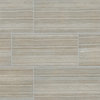 Charisma Silver 12x24 Matte Ceramic Tile - Traditional - Wall And Floor ...