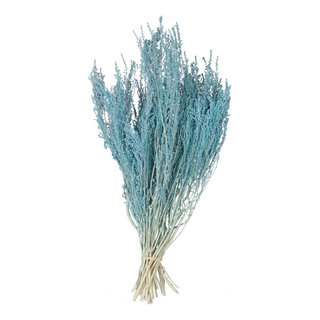 Vickerman 14"-18" Stoebe Bundle, Preserved, 14-18" - Plants - by ...