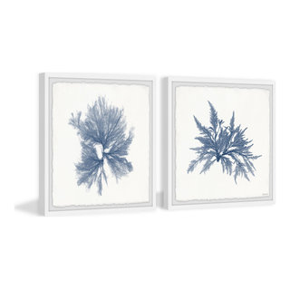 Navy Sea Weed VI Diptych, 48"x24" - Beach Style - Wall Accents - by ...