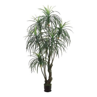 Silk Plants Direct Yucca Tree - Green Two Tone - Pack of 2 - Artificial ...