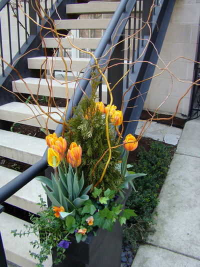 9 Beautiful Early Spring Container Gardens