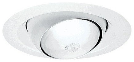 Economy Eyeball Trim for Recessed Housing, 249B-WH,6"", Black ...