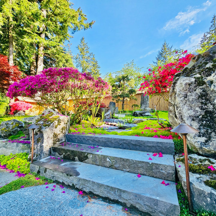 75 Beautiful Asian Garden Ideas & Designs - August 2025 | Houzz AU