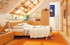 Bonus Room with sloped ceiling | Houzz Forum