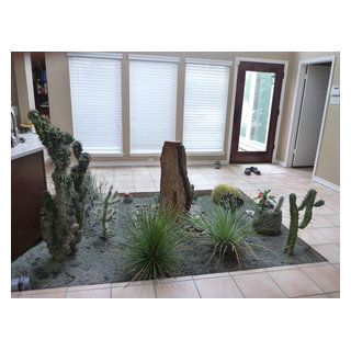 Indoor Cactus Atrium - Mediterranean - Garden - Houston - by Nature's ...