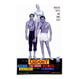 Gidget Print, 27 x 40 - Contemporary - Prints And Posters - by ...