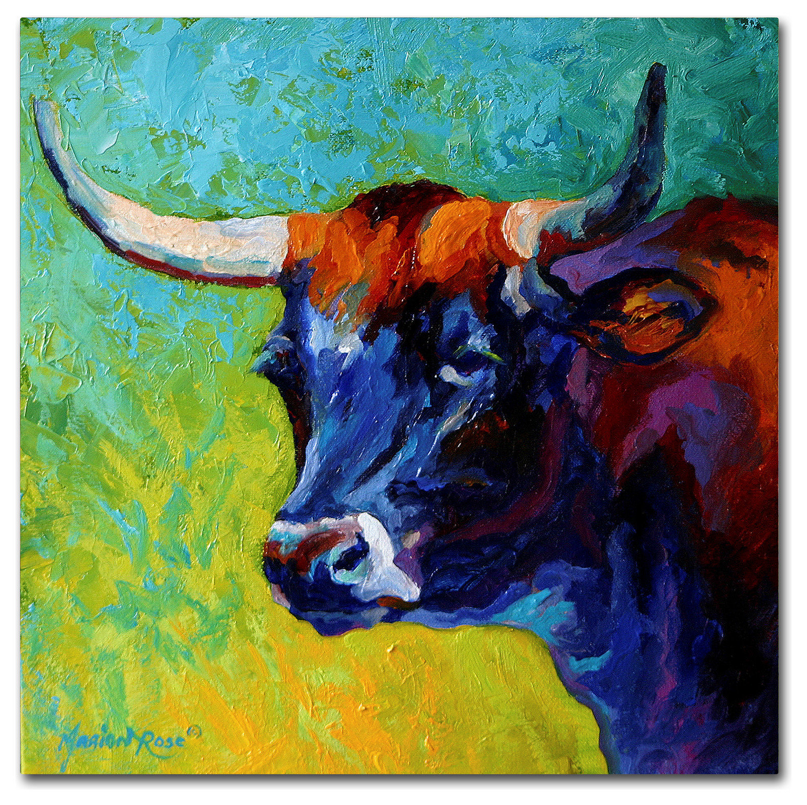 Marion Rose 'Longhorn Portrait IV' Canvas Art, 24"x 24" - Southwestern ...