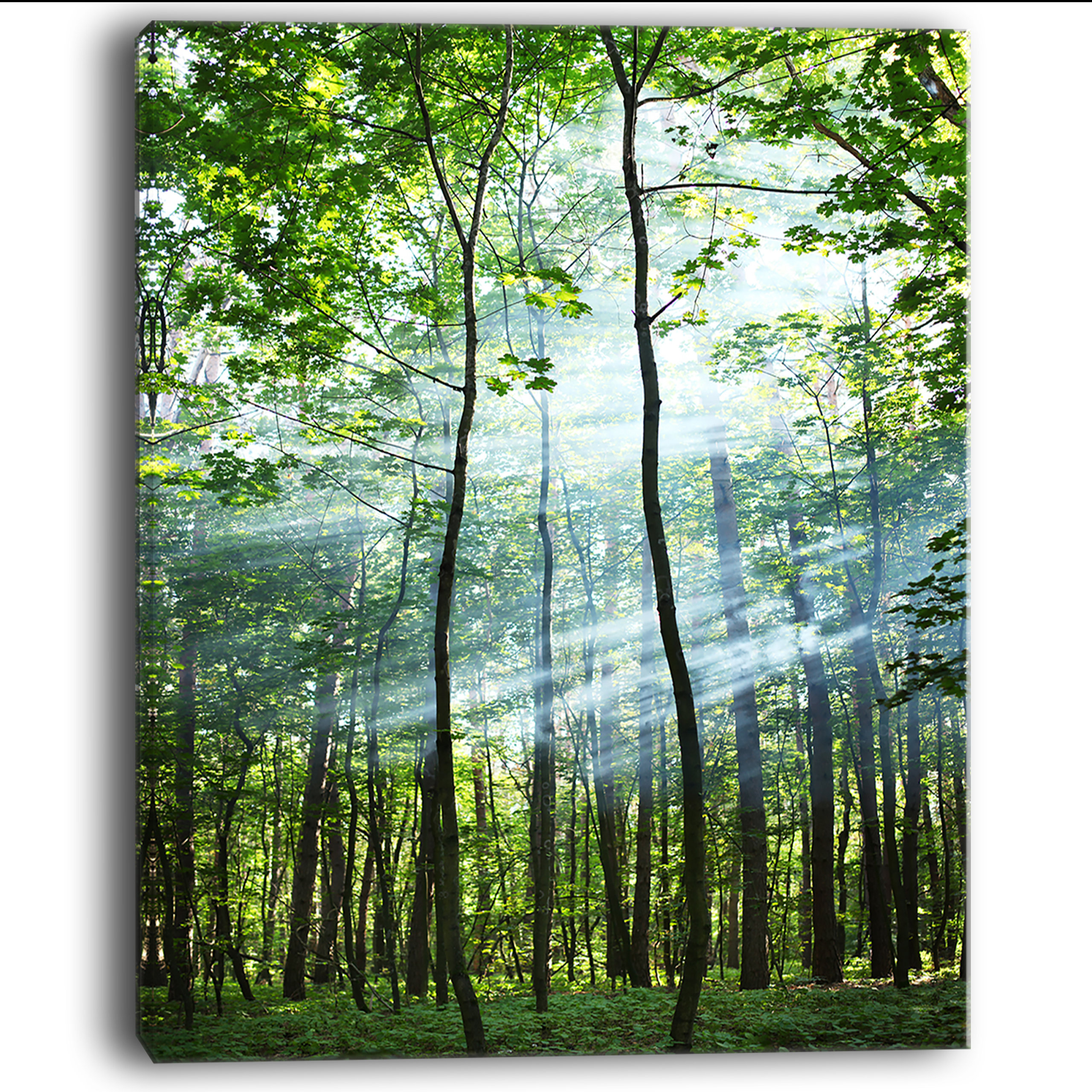 "Green Sunny Forest" Landscape Photography Canvas Print, 16"x32 ...