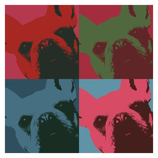 French Bulldog Pop Art, 48x48 Stretched - Contemporary - Prints And ...
