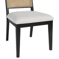 Butterfly Dining Chair, Set of 2 - Tropical - Dining Chairs - by ...