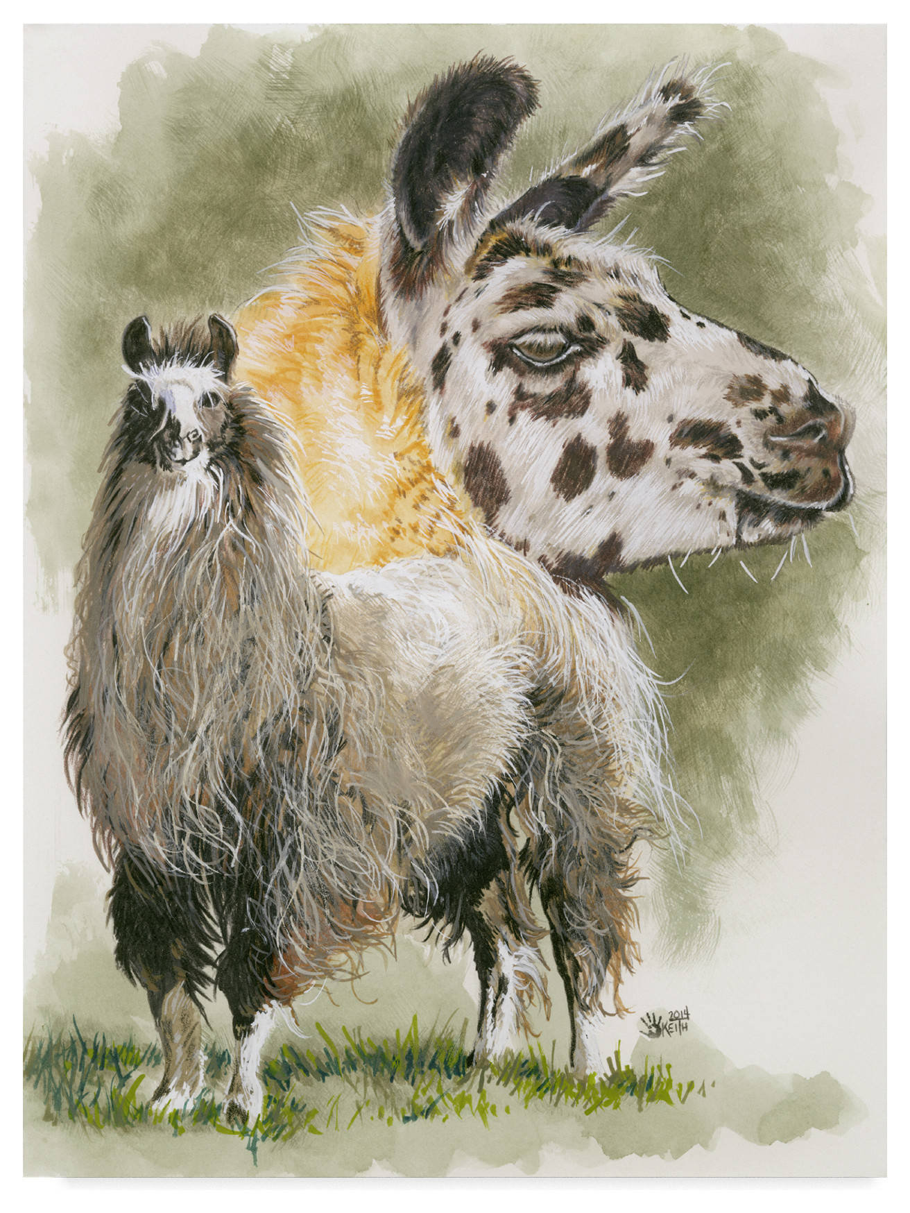 "Peevish" by Barbara Keith, Canvas Art, 24"x18" - Farmhouse - Prints ...