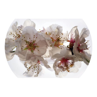 Lilly Circular Peel and Stick Wall Mural 55" Diameter, 55 inch Diameter ...