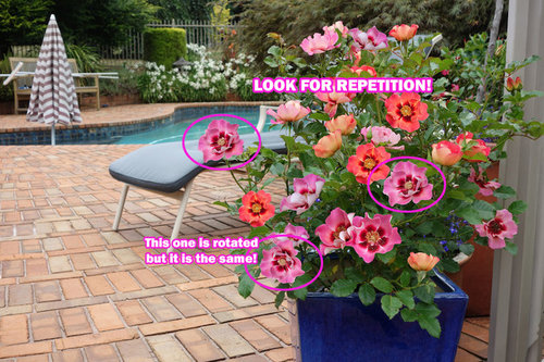 A short guide to recognizing digitally altered images.