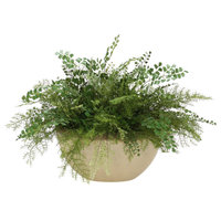Springerii and Fern Mixture in a Oval Beige with Bronze Rim Ceramic ...