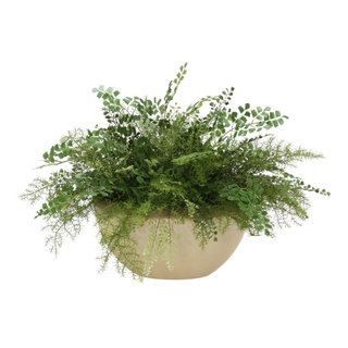 Springerii and Fern Mixture in a Oval Beige with Bronze Rim Ceramic ...