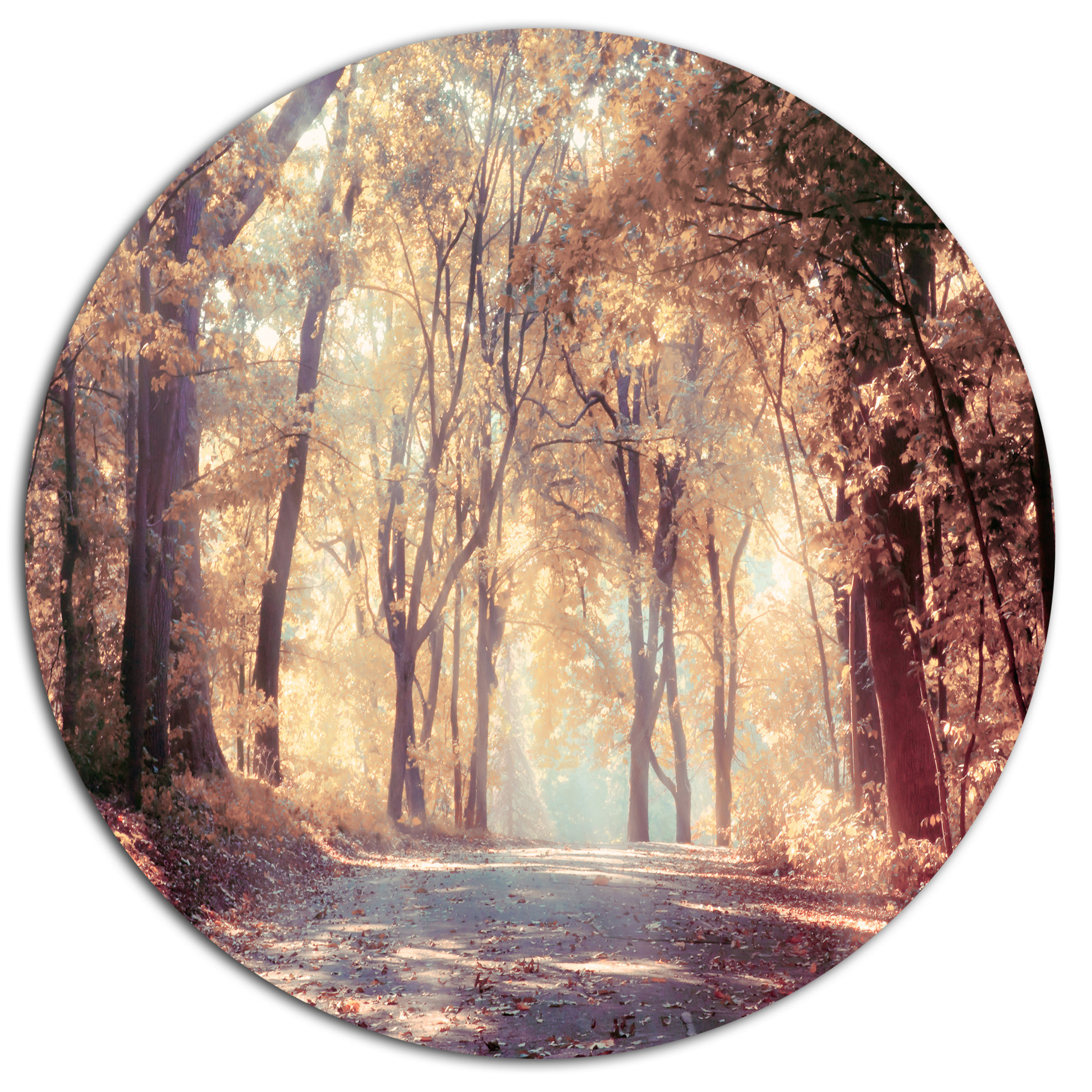 Golden Autumn Beautiful Forest, Landscape Disc Metal Artwork, Disc of ...