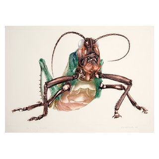 Rimer Cardillo "Langosta" Etching - Contemporary - Fine Art Prints - by ...